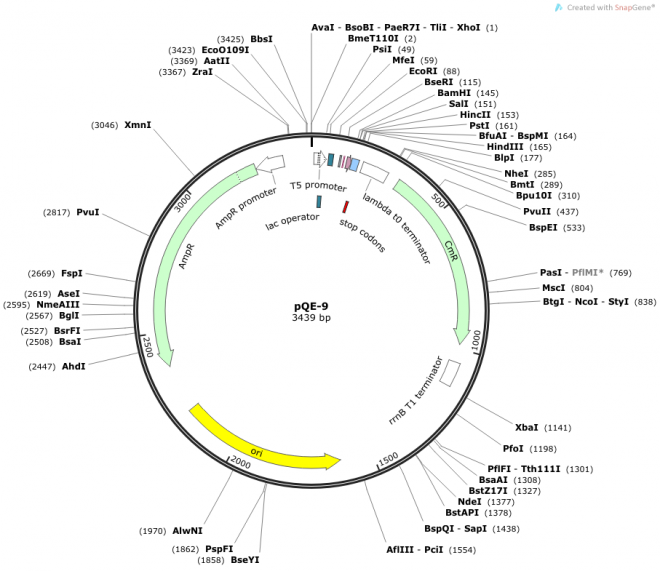 pQE-9载体_质粒图谱 - 优宝生物